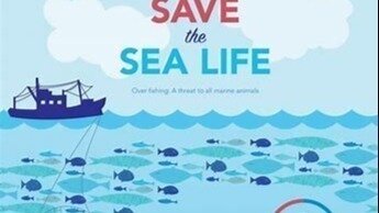 Petition · SAVE MARINE LIFE SAVE OCEANS - India · Change.org