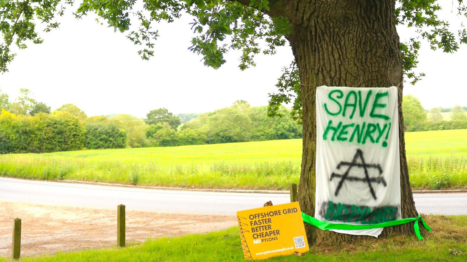 Petition · Save Henry from the National Grid pylons plan - United ...