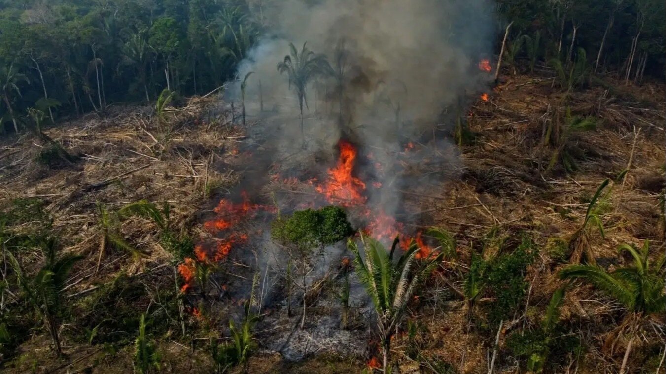 Petition · End Deforestation and Stop Climate Change - United States ...