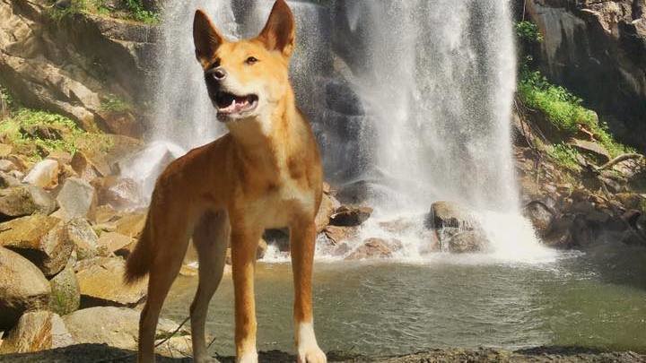 Petition update · Sustainability Conference: September, 1st, 2016 - Dr ...