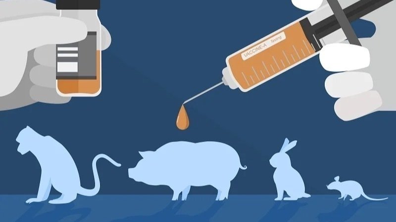 Petition · Ban the sale and importation of cosmetics that have been ...