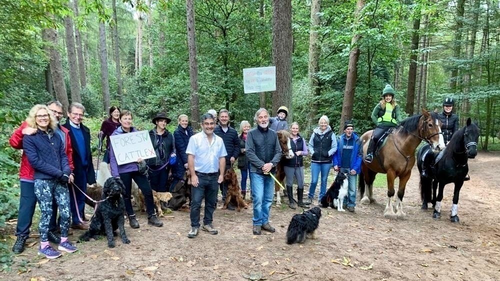 Petition update · BBC filmed our protest to stop deforestation by the ...