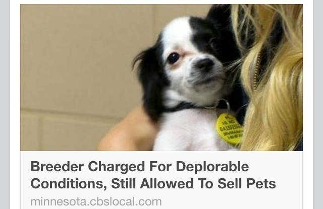 Petition · Cass County Prosecutors Office: Do not allow Deborah Rowell ...