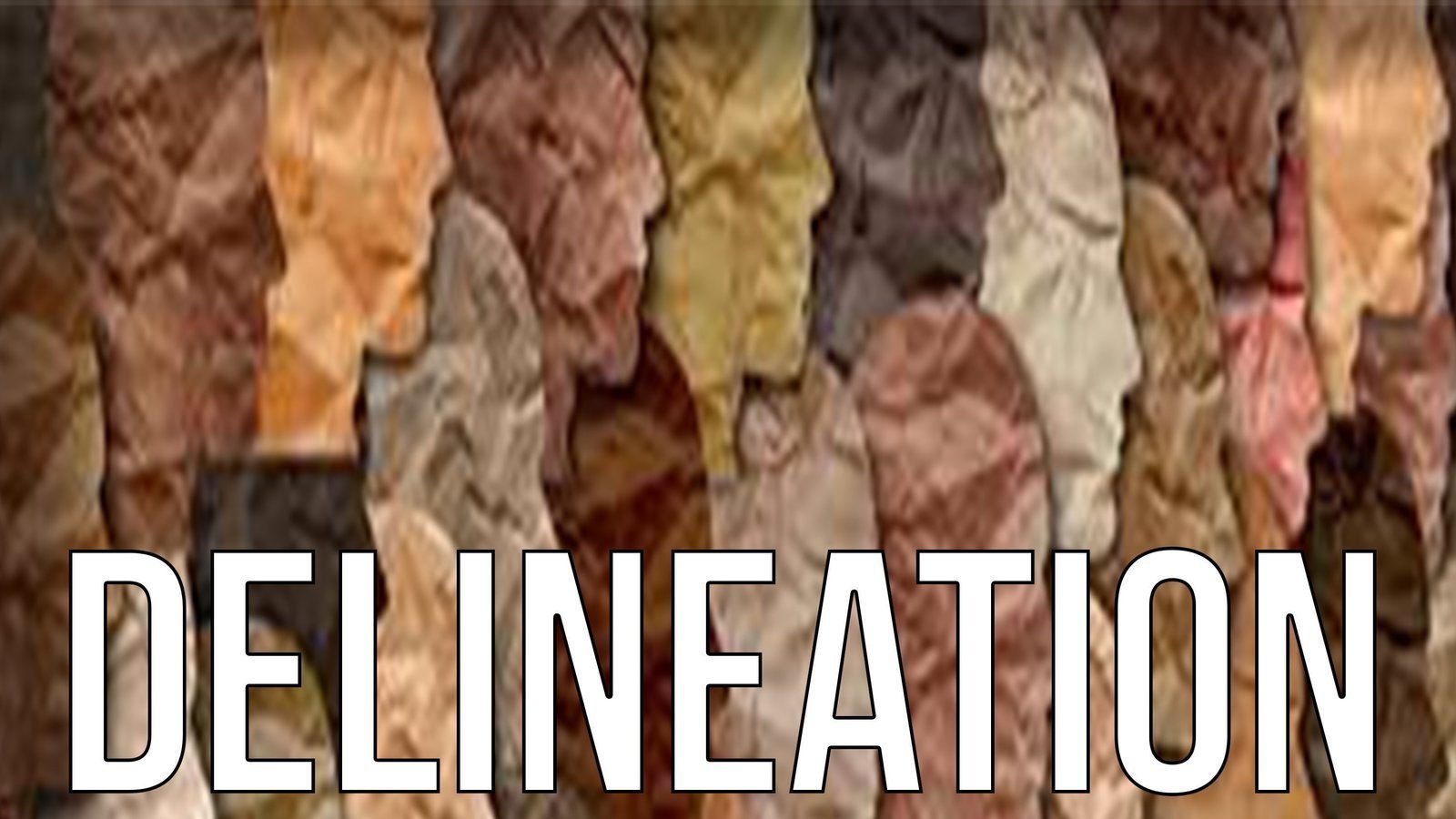 Petition · Say YES to the Data Disaggregation for all Americans ...