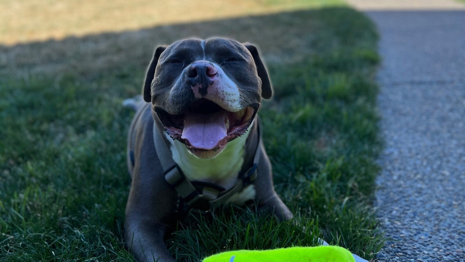 Petition · Hold LAPS Accountable: End the Injustice Against Enzo ...