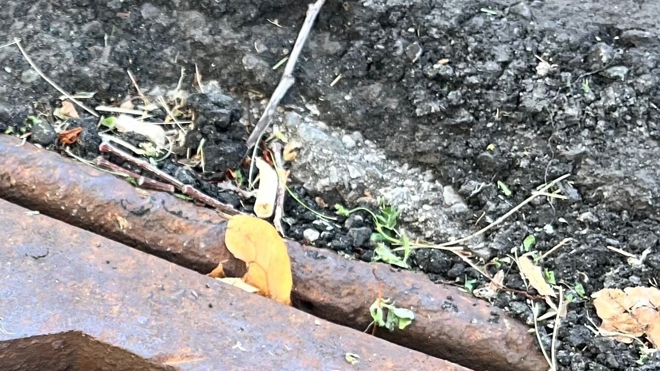 Petition · Fix unsafe road on Nicholson Crescent - Canada · Change.org Petition · Fix unsafe road on Nicholson Crescent - Canada · Change.org
