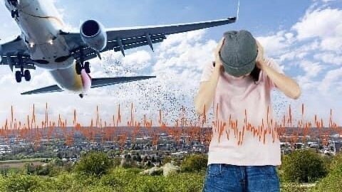 Petition · Demand Immediate Replacement of Matt Hoey on Tweed Airport ...