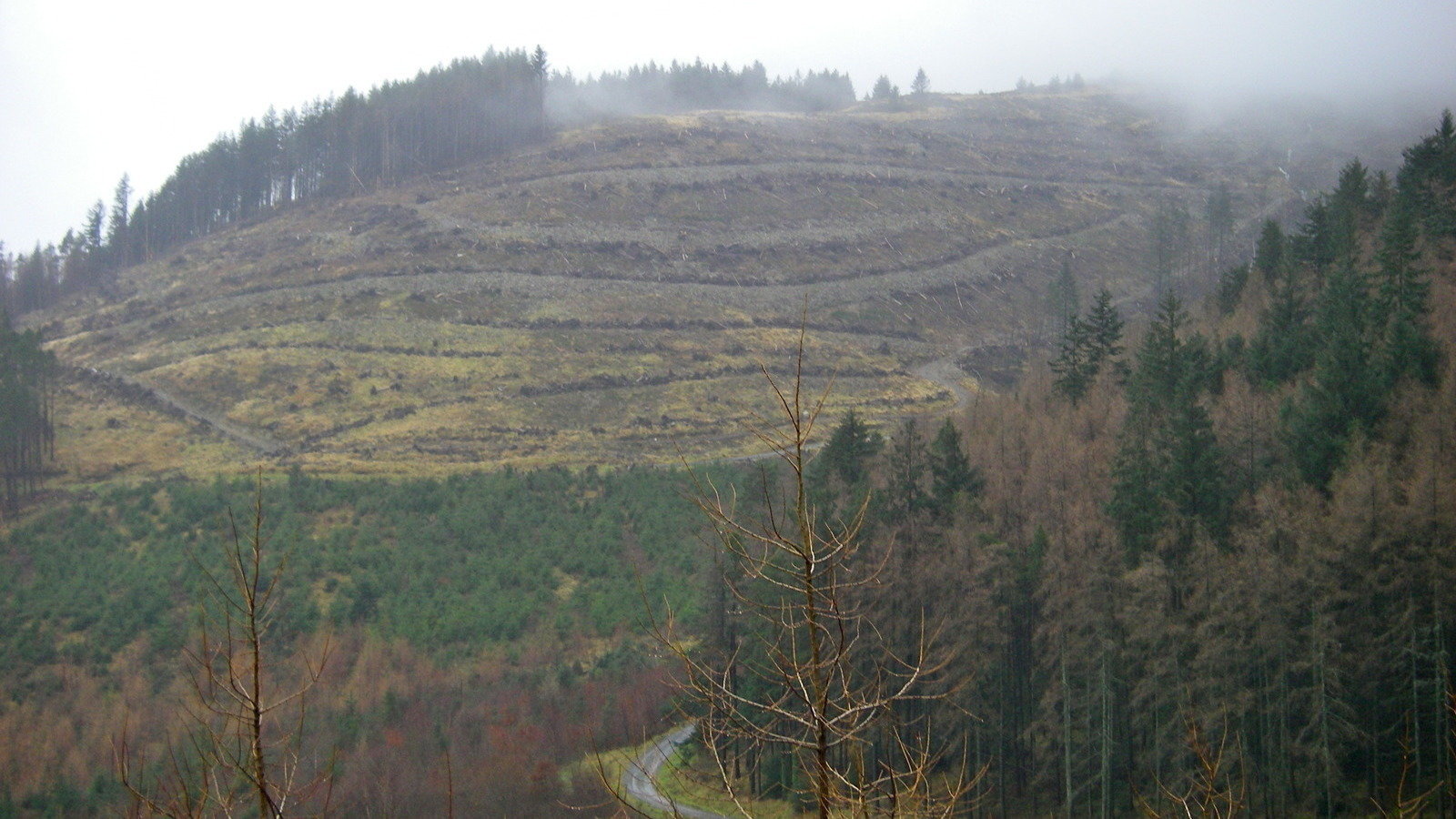 Petition · Stop bulldozing the pristine slopes in the Mourne mountains ...