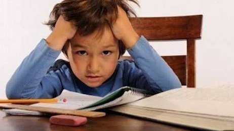 Petición · No dejar mas tarea en las escuelas - México · Change.org