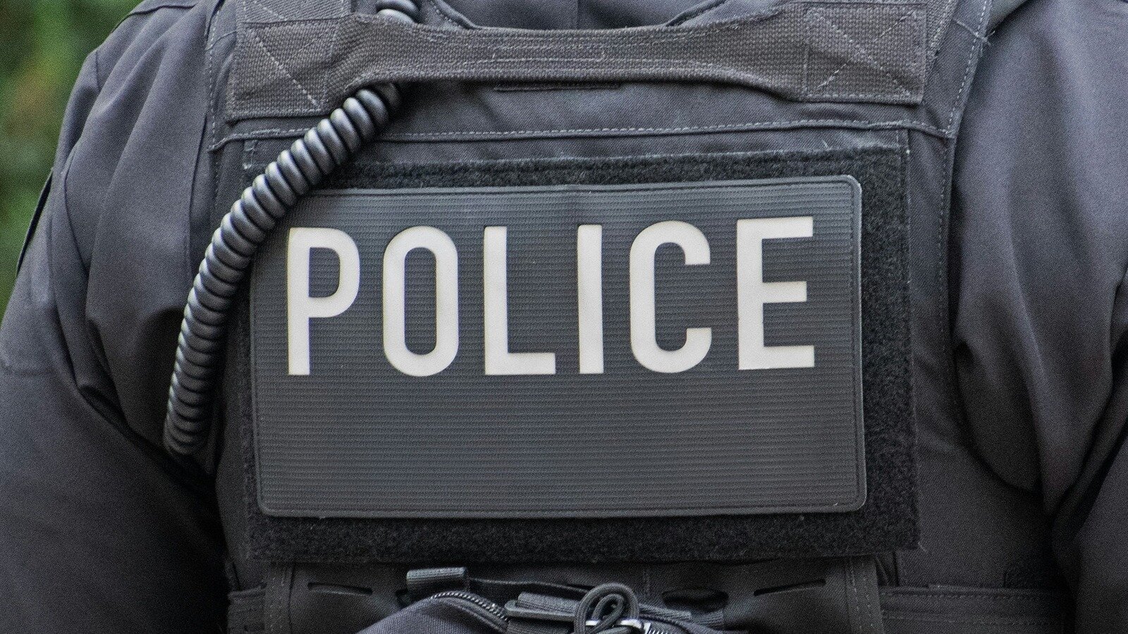 Petition · Demand Independent Oversight of Police Officer Misconduct in ...