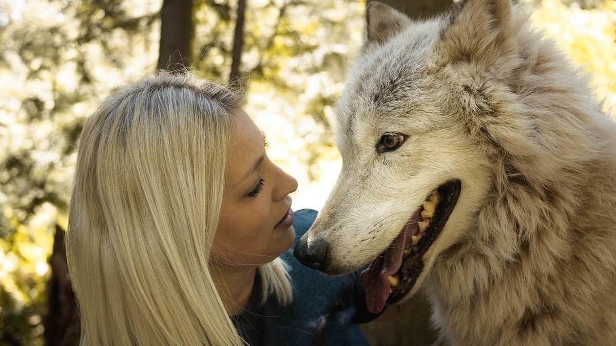 Petition · Save Because We Matter Exotic Rescue! - United States ...