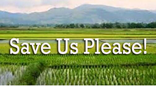 Petition · NO TO QUARRYING IN BULAN, SORSOGON · Change.org