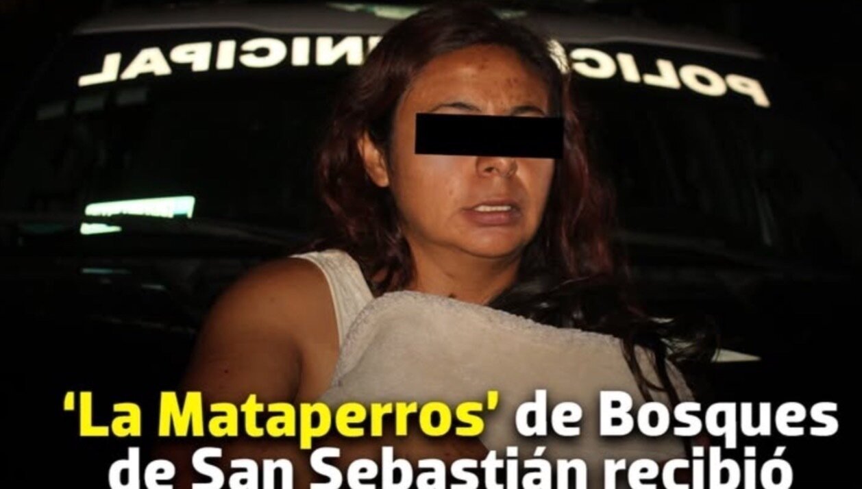 Petición · @PodJudPue La “Mataperros” de bosques de San Sebastián ...