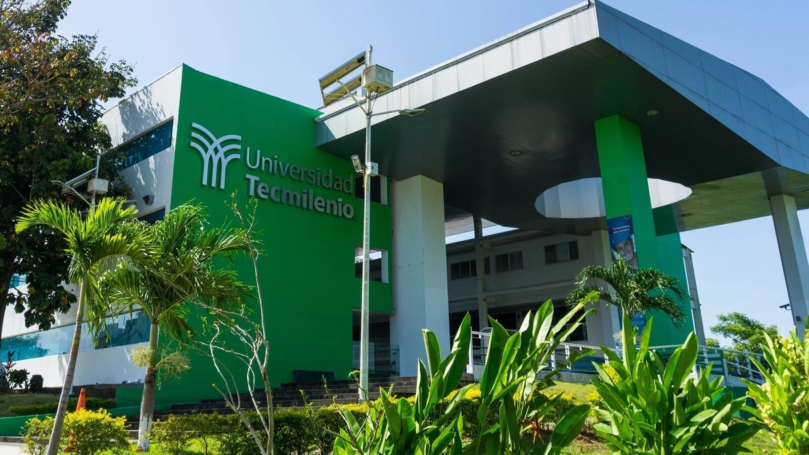 Petición · Exijamos la destitución de la directora del @Tecmilenio ...