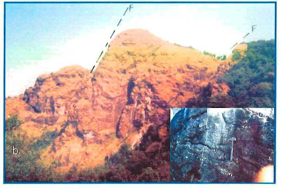 Petition · Military-backed UMEH, the NMI Ltd. Co., & the Wanbao Mining ...