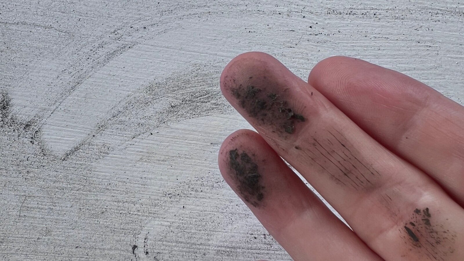 Petition · Implement Effective Noise and Dust Control Measures Along ...