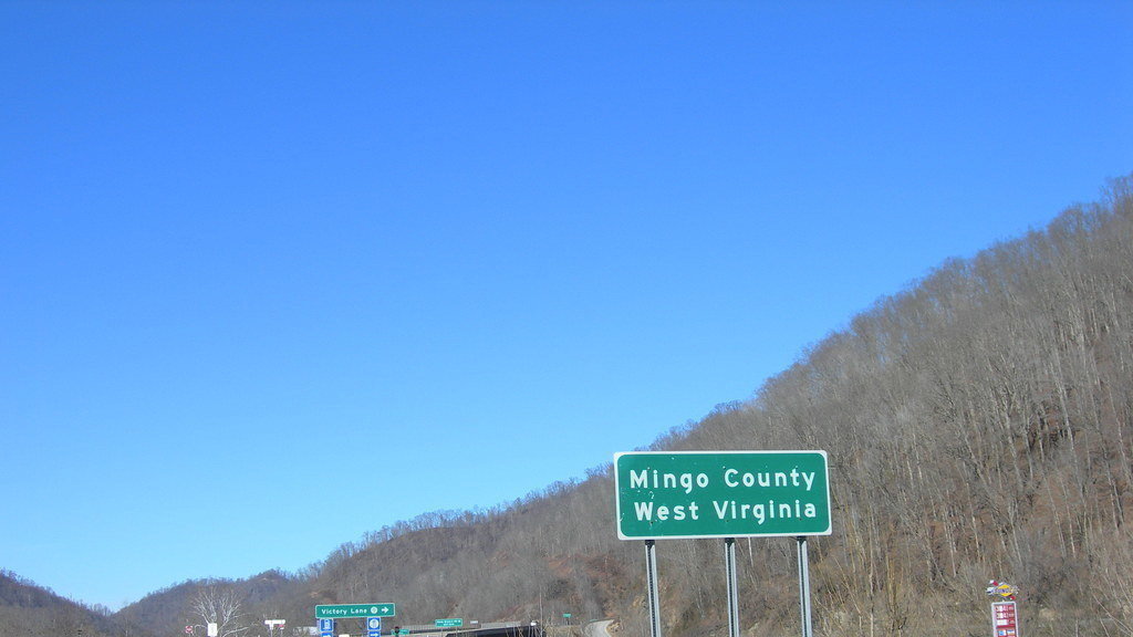 Petition · Second Amendment Sanctuary For Mingo County West Virginia ...