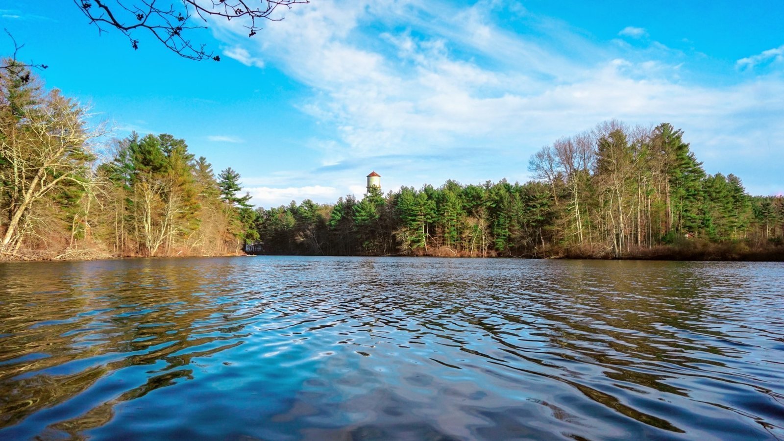 Petition · Protect Bellingham MA - United States · Change.org