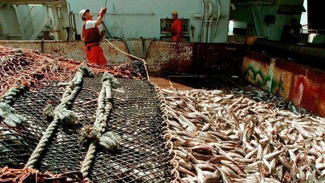 Petition · Stop over fishing! - United States · Change.org