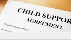 Petition · Reform the South Carolina Child Support System - United ...