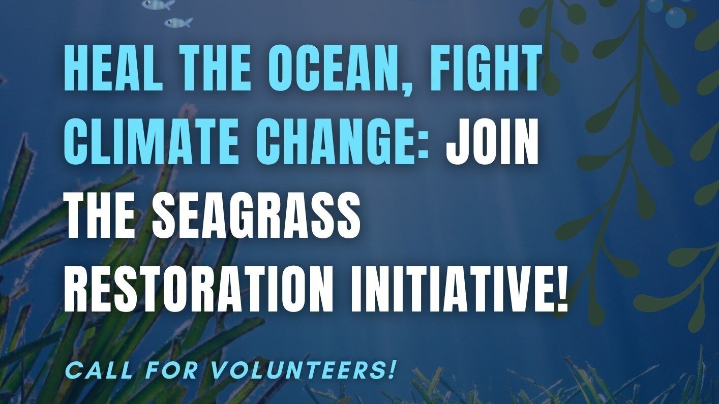 Petition · Heal the Ocean, Fight Climate Change: Join the Seagrass ...