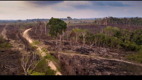 Petition · INSTITUTIONALIZE TREE PLANTING THROUGH SCHOOLS. - Kenya ...
