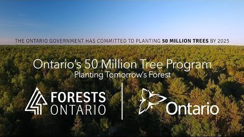 Petition · Bring Back Funding for the 50 Million Tree Planting Program ...