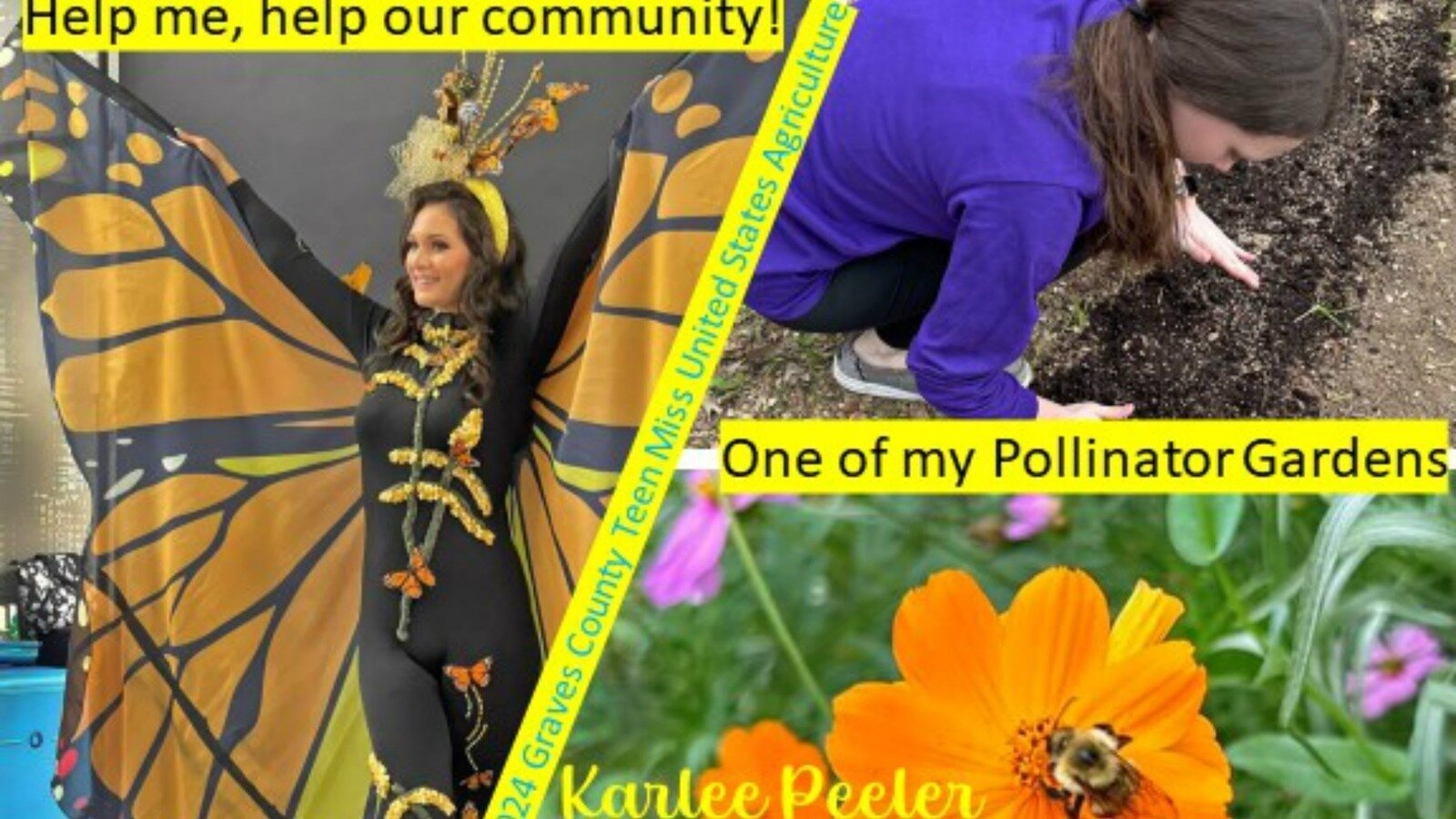 Petition · Preserve Our Ecosystem: Require Solar Farms to Support ...