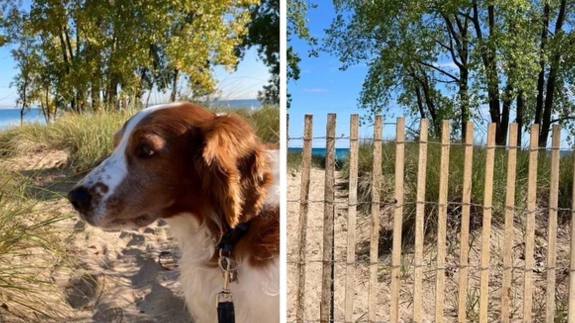 Petition · Remove Fencing Blocking Beach Views at Gillson - Wilmette ...
