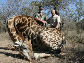 Petition · Stop the heinous hunting of exotic South African animals ...