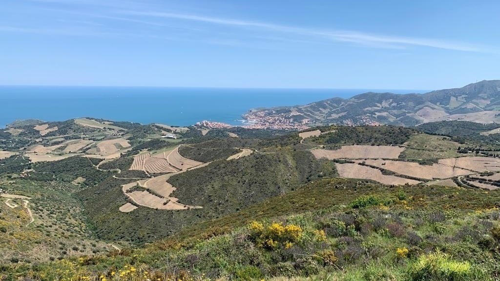 Pétition · Pétition pour la réouverture du col de Banyuls Petició ...
