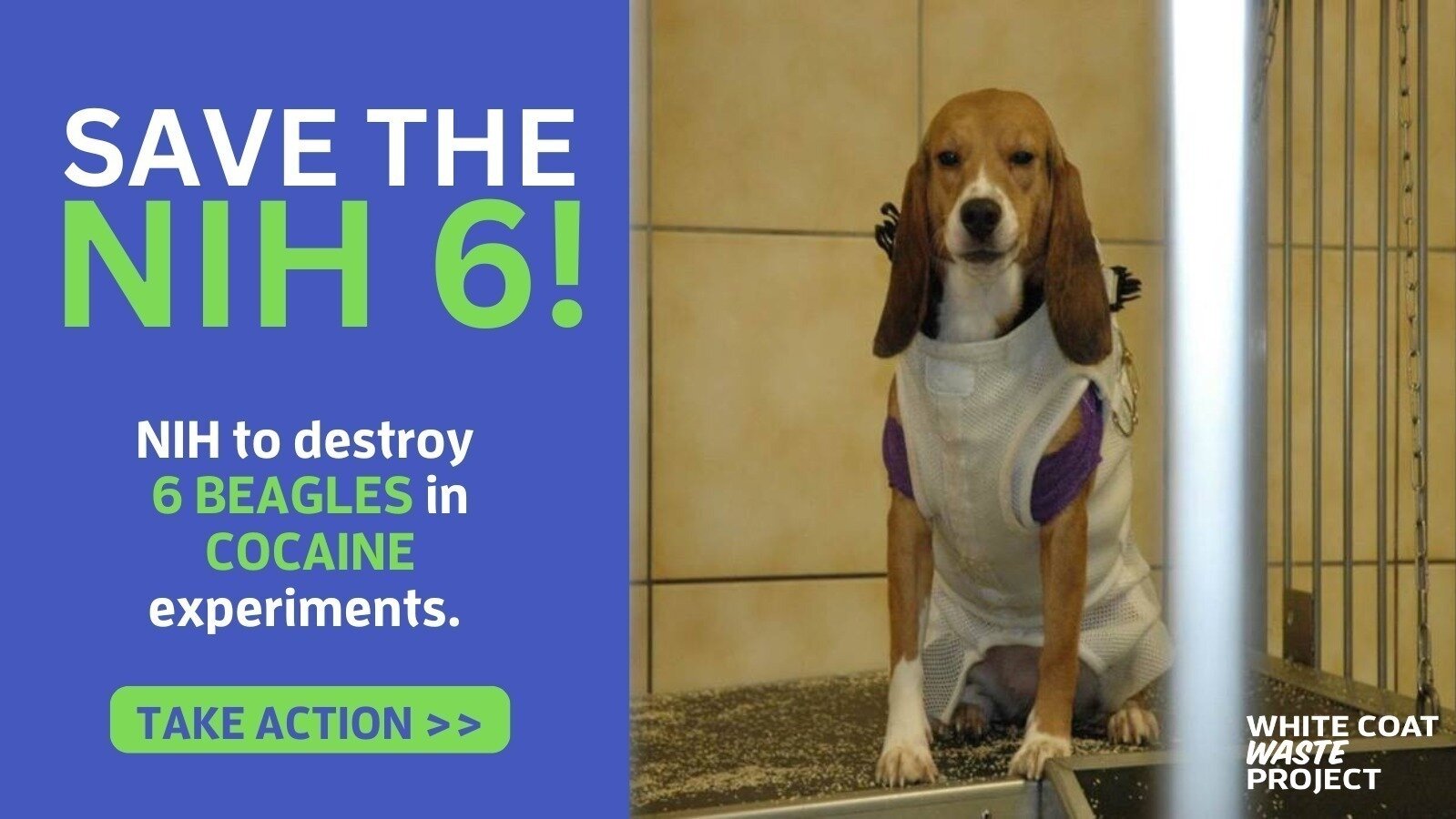 Petition update · 48-hour deadline · Change.org