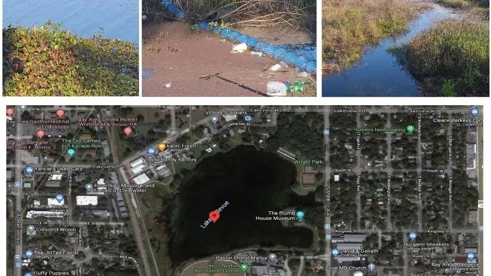 Petition · Restore Lake Belleview - United States · Change.org