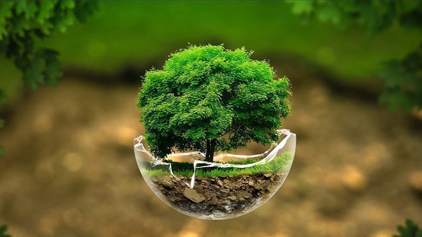 Petition · Create the Best Environment · Change.org