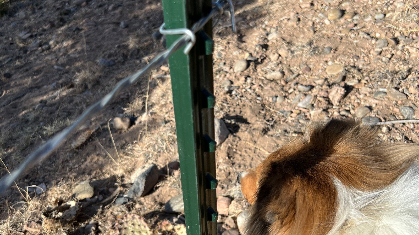 Petition update · Barbed Wire Replaced With Smooth Wire · Change.org ...