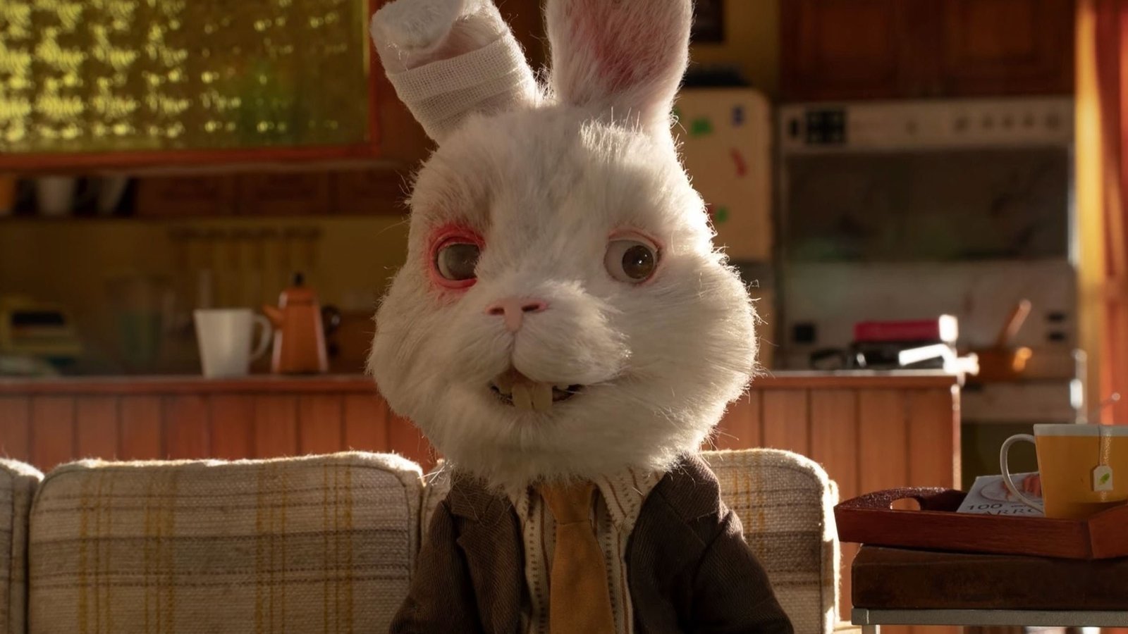 Petition · Save Ralph, Stop Animal Testing - Philippines · Change.org