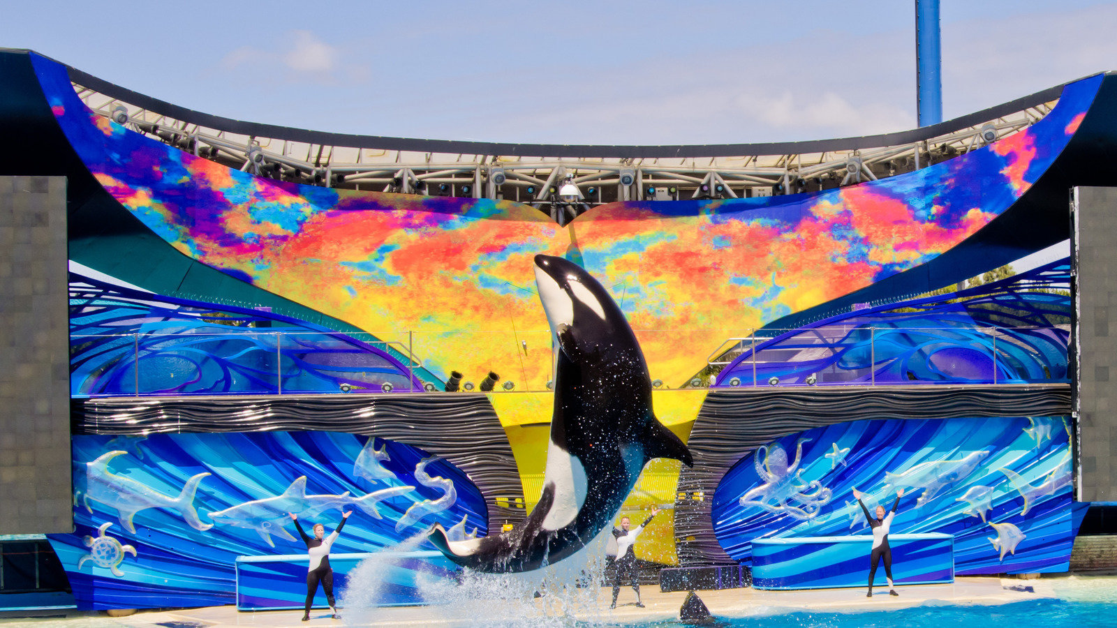 Petition · Please cancel your performance at SeaWorld's 2016 Praise ...
