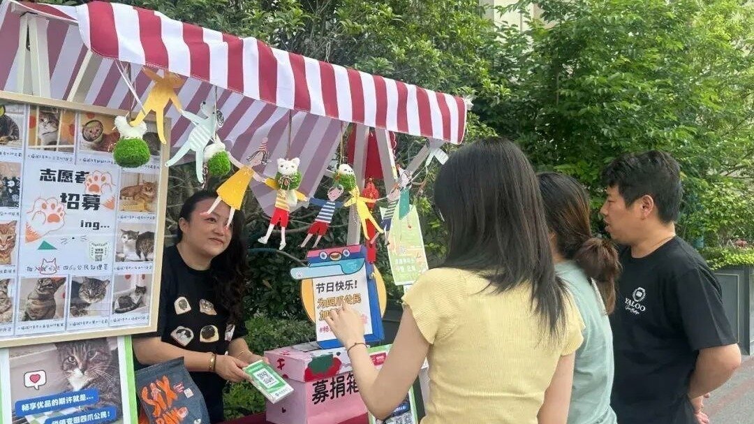 Petición · Demand China to Implement the Jianding TNR Project ...