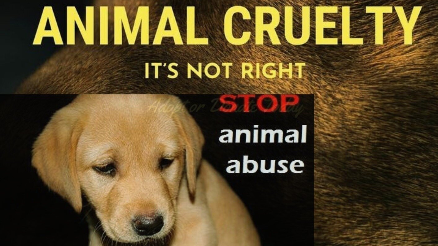 Petition · Stop Animal Abuse: Spread and make people aware of animal abuse. - Philippines ...