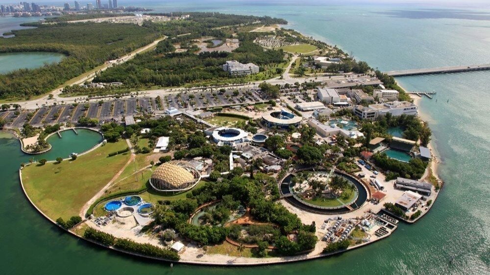 Petition · Transform Miami Seaquarium into a Marine Exploration Hub and ...