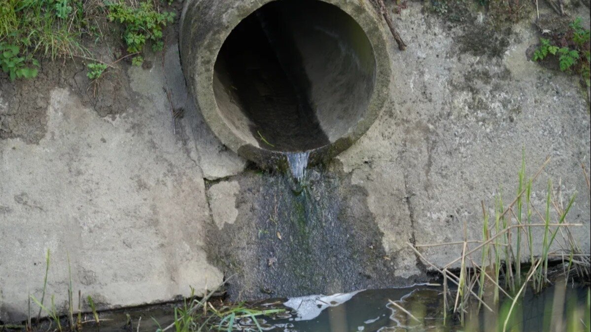 Petition · Stop Sewage Pollution in the Merrimack River - Merrimac ...