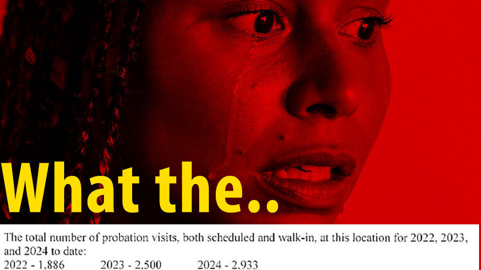 Petition · Demand for Immediate Removal of Probation Services from 65 ...