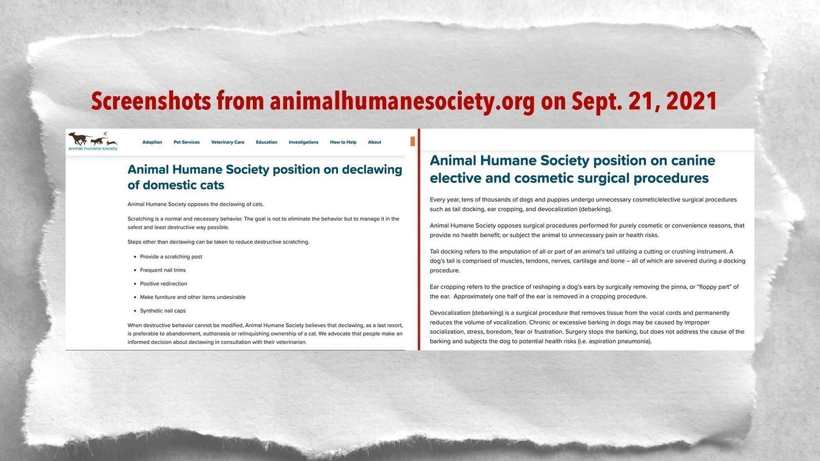Petition · Why Is The Animal Humane Society's Declawing Position On The ...