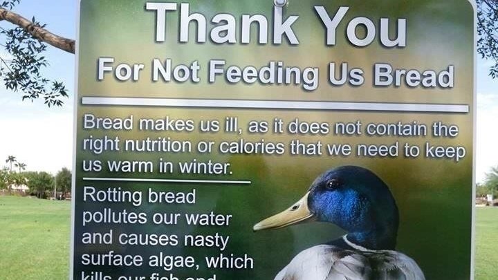 Petition · Feeding sign for ducks in Odessa Duck Pond - United States ...
