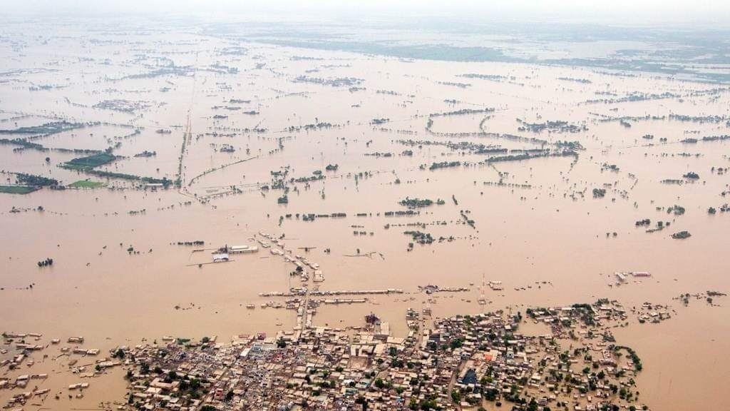 Petition · "stop the illegal logging" - United States · Change.org