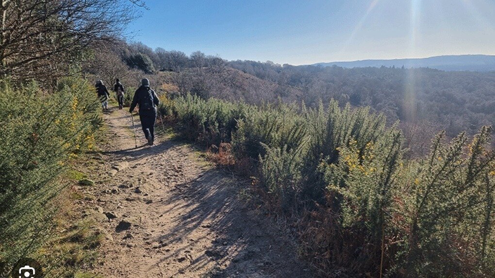 Petition · Against the National Trust plan to fence in Woolbeding and ...