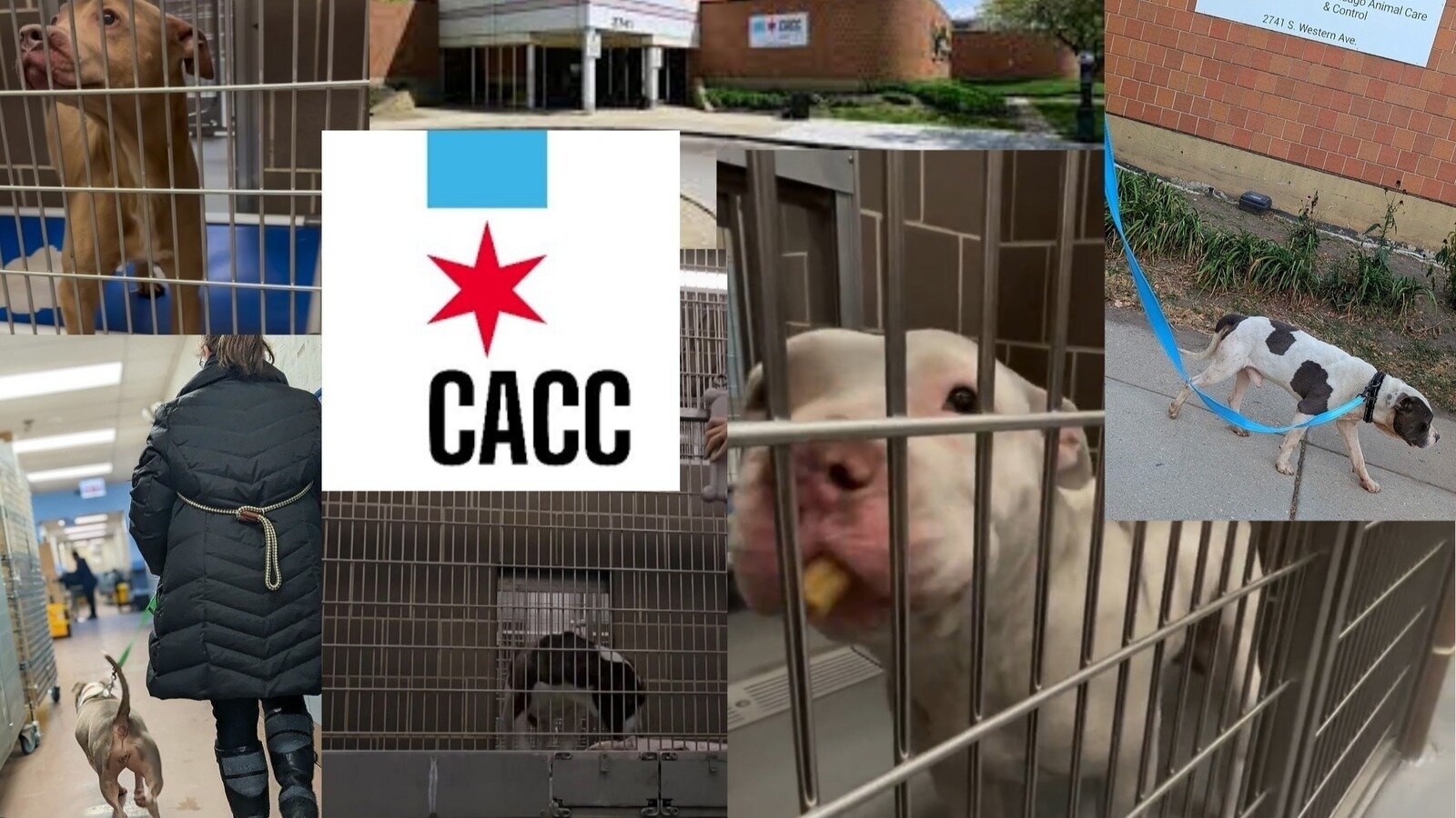 Petition · Tell Mayor Johnson & City Council to Fix the Crisis at ...