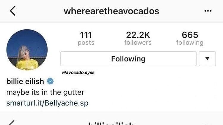 Petition · bring back @wherearetheavocados - United States · Change.org Petition · bring back @wherearetheavocados - United States · Change.org