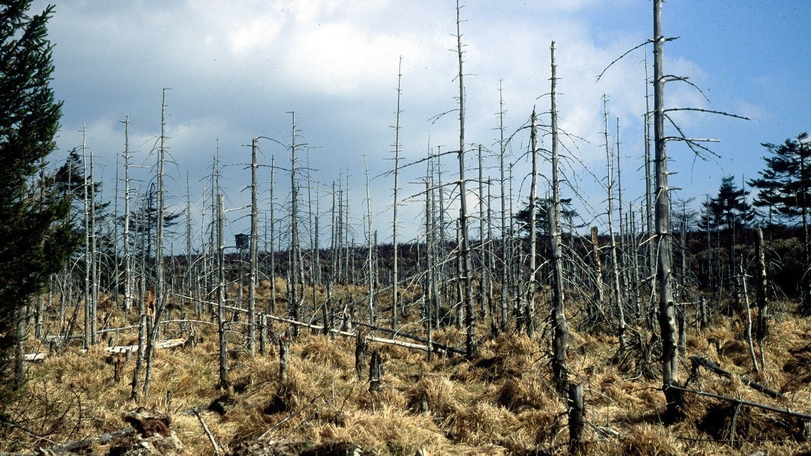 Petition · Banning Dihydrogen Monoxide (DHMO) - United States · Change.org