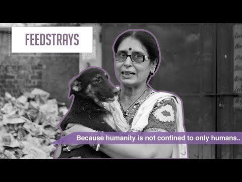 Petition · Help, Contribute Sulakshmi Devi feed her 450 strays · Change.org